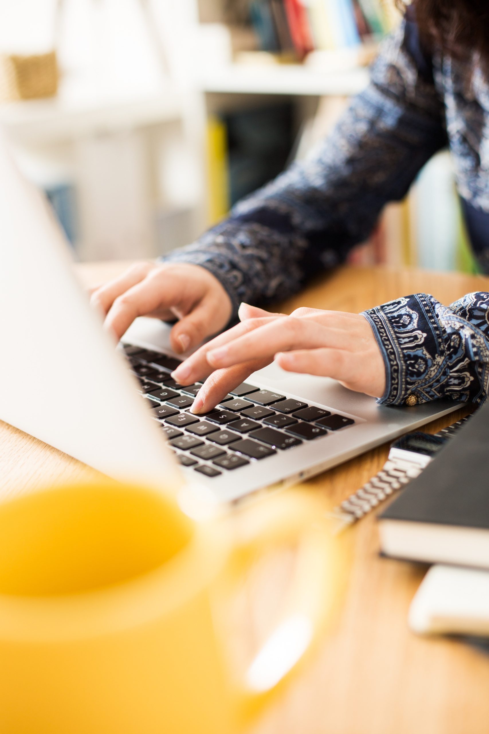 Executive Assistants - Mario Halouvas